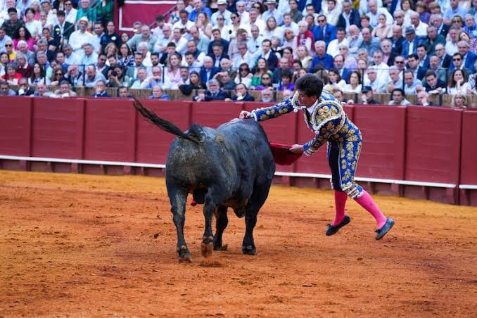 Congreso prohíbe corridas con muerte del toro en Ciudad de México ...