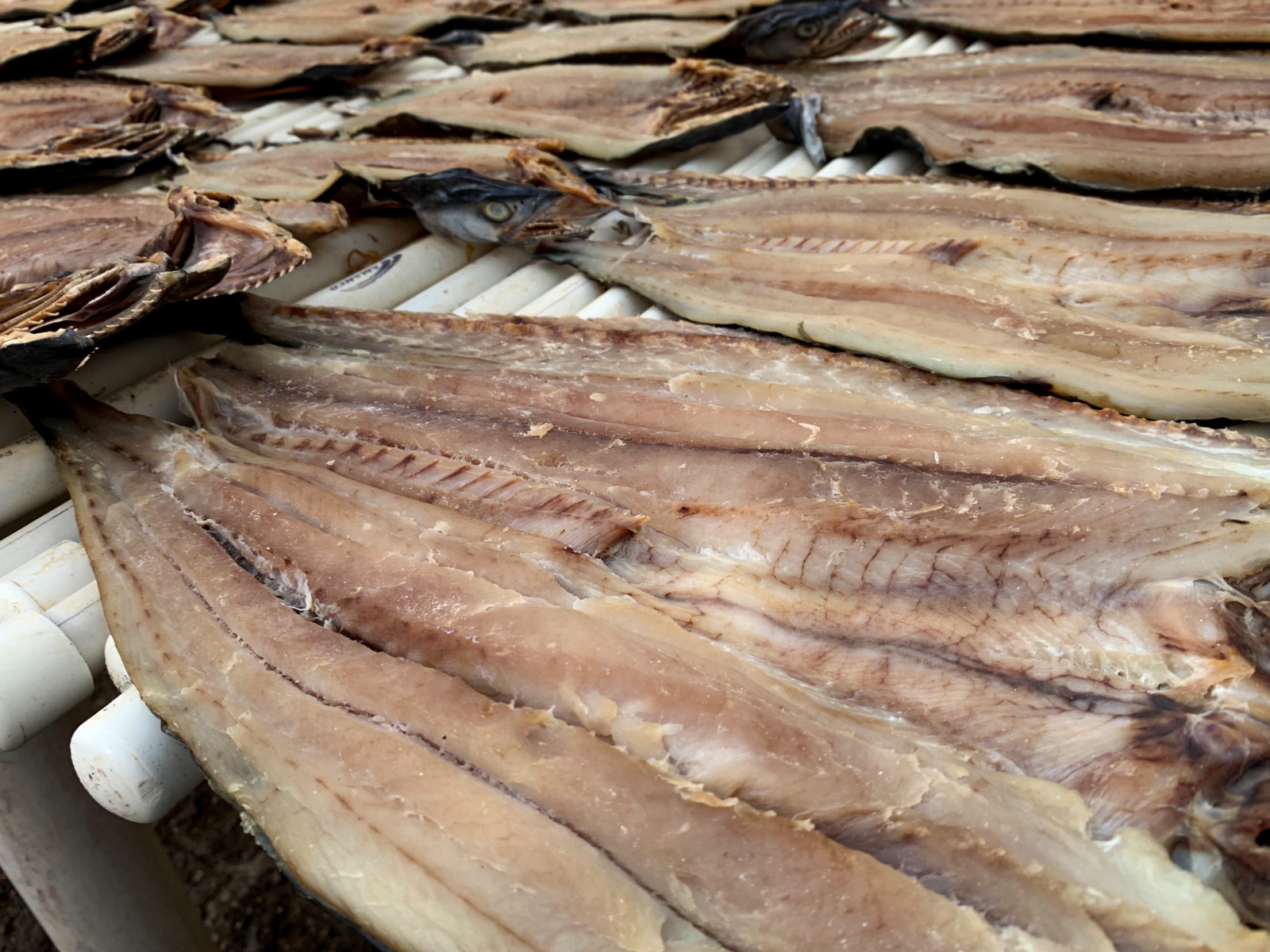 El pescado seco salado, una tradición de la Semana Santa - Diario El ...