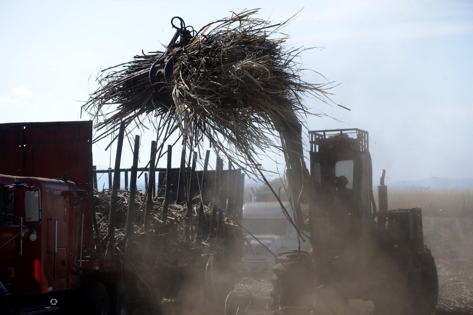 Sector azucarero se une a esfuerzo para impulsar la industria nacional ...