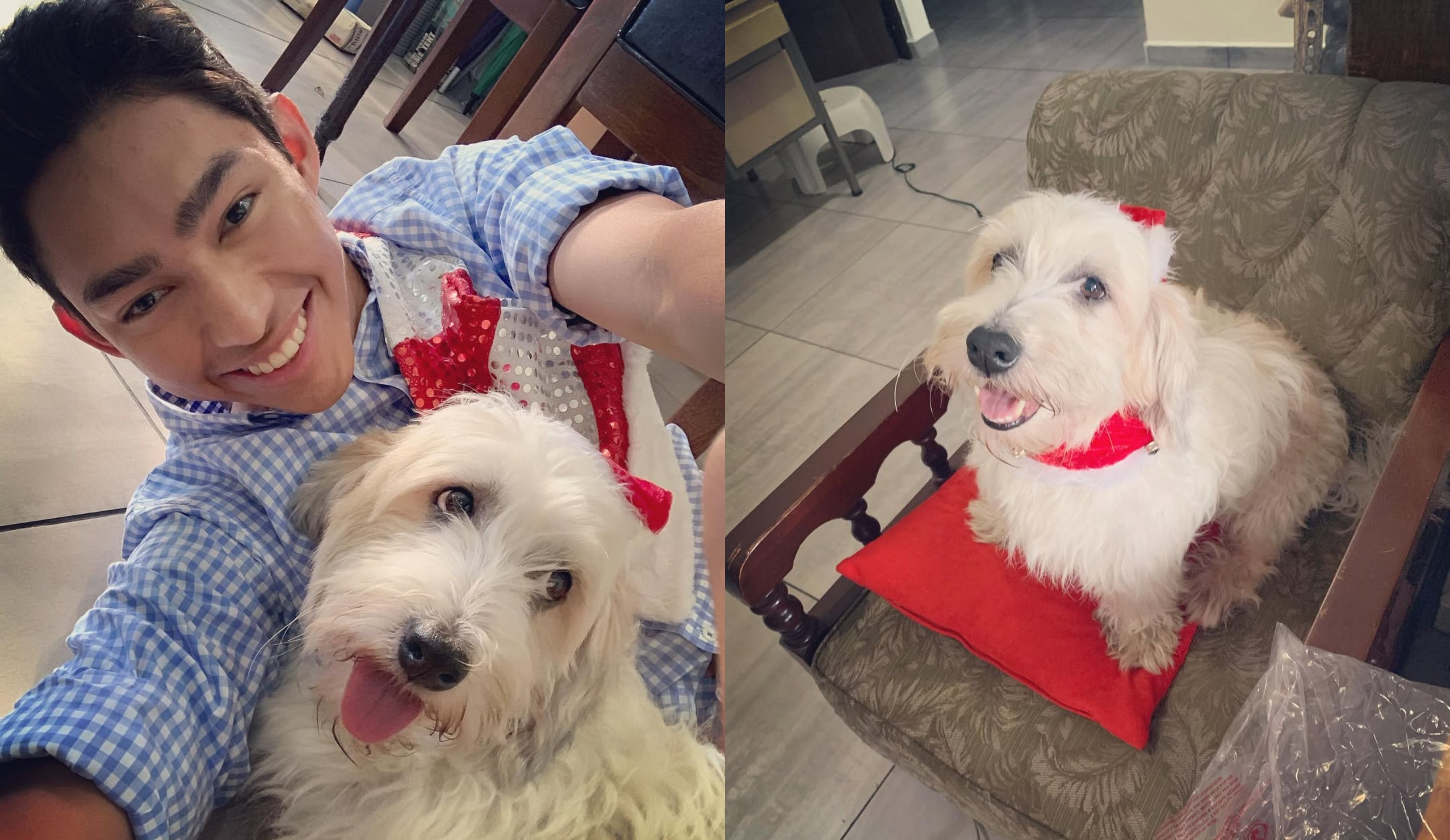 «Este es un video conmemorativo para Curly»: Fernanfloo da el último ...