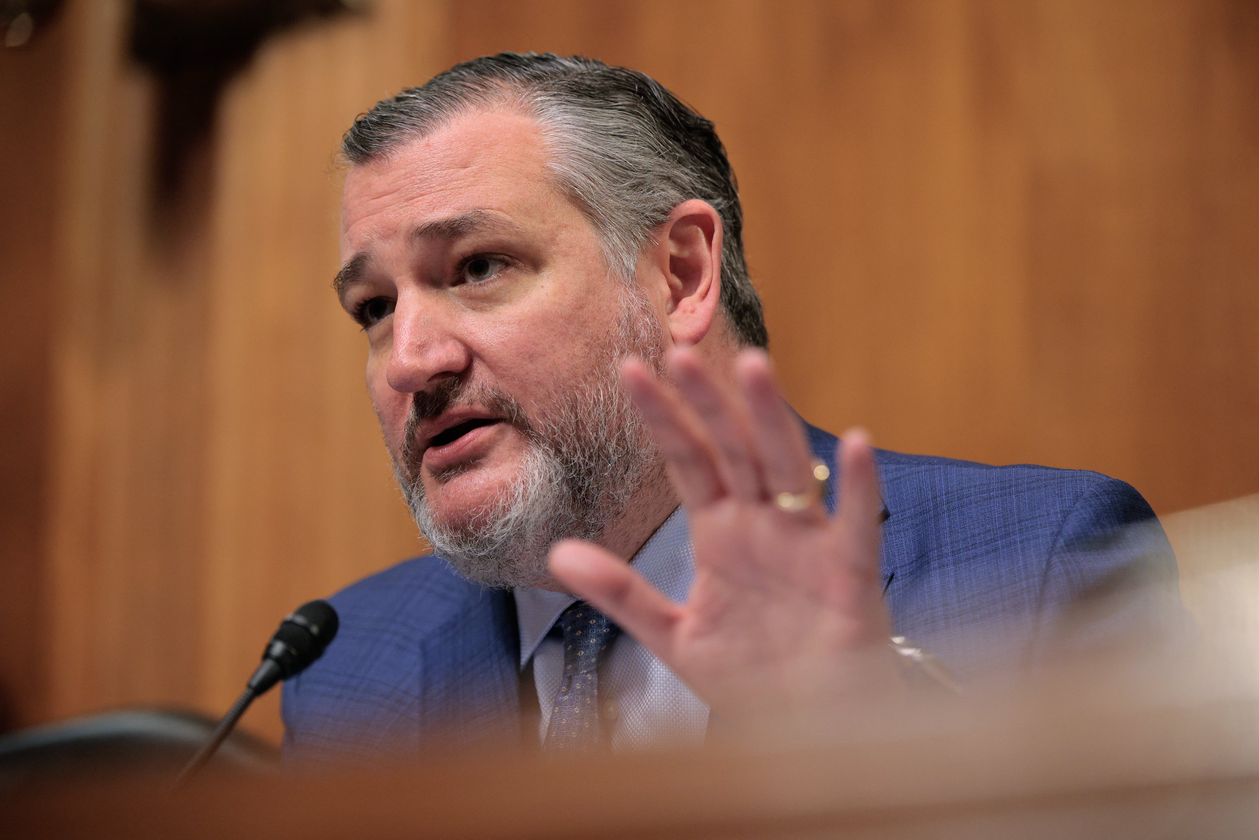 Senador Ted Cruz pide a México seguir el ejemplo de El Salvador en ...