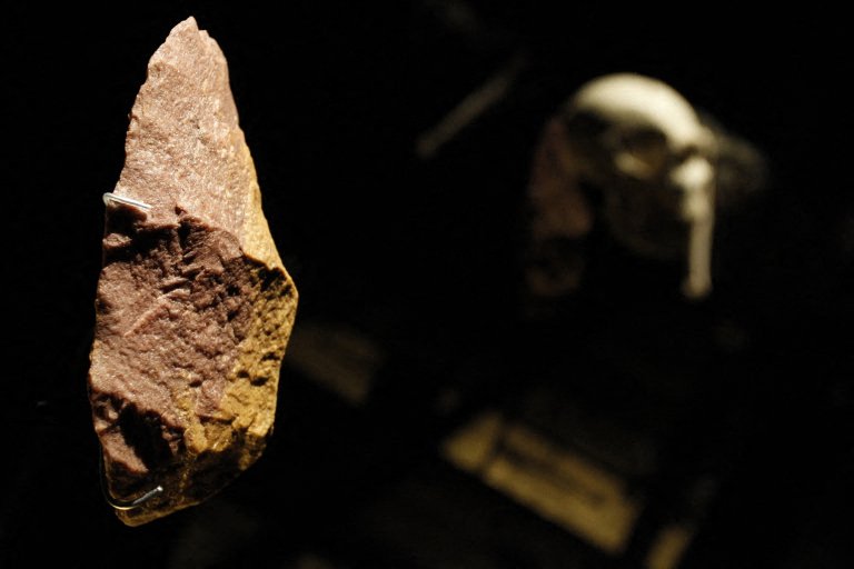 Un cráneo de un millón de años hallado en China podría reescribir la ...