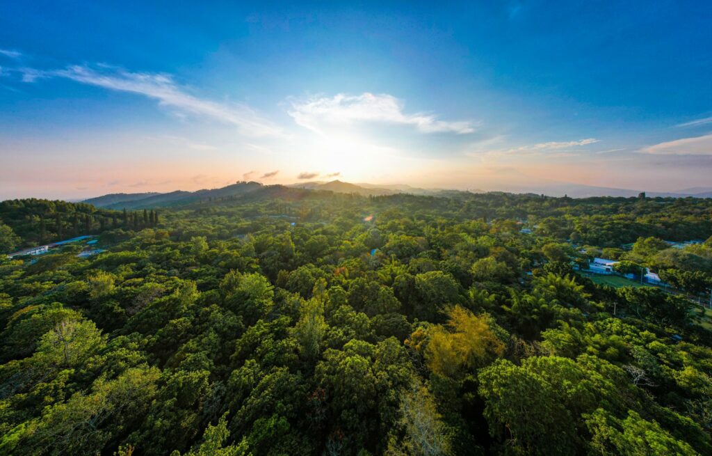 Parque Natural Balboa: el plan perfecto para disfrutar de la naturaleza ...
