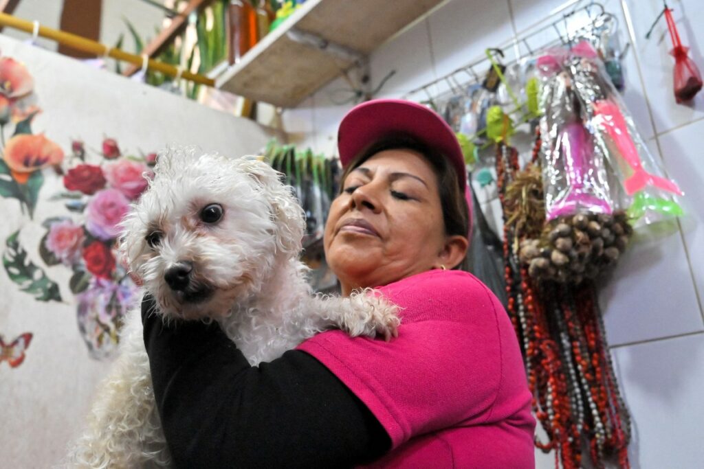 Curanderas limpian las malas energías de las mascotas en un mercado de ...